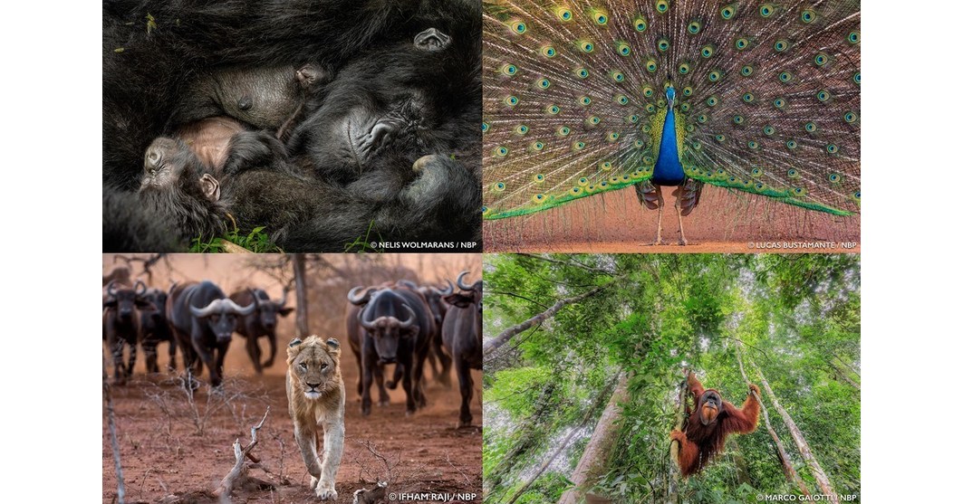 Epson Sponsors Nature's Best Photography Awards for Seventh Consecutive ...