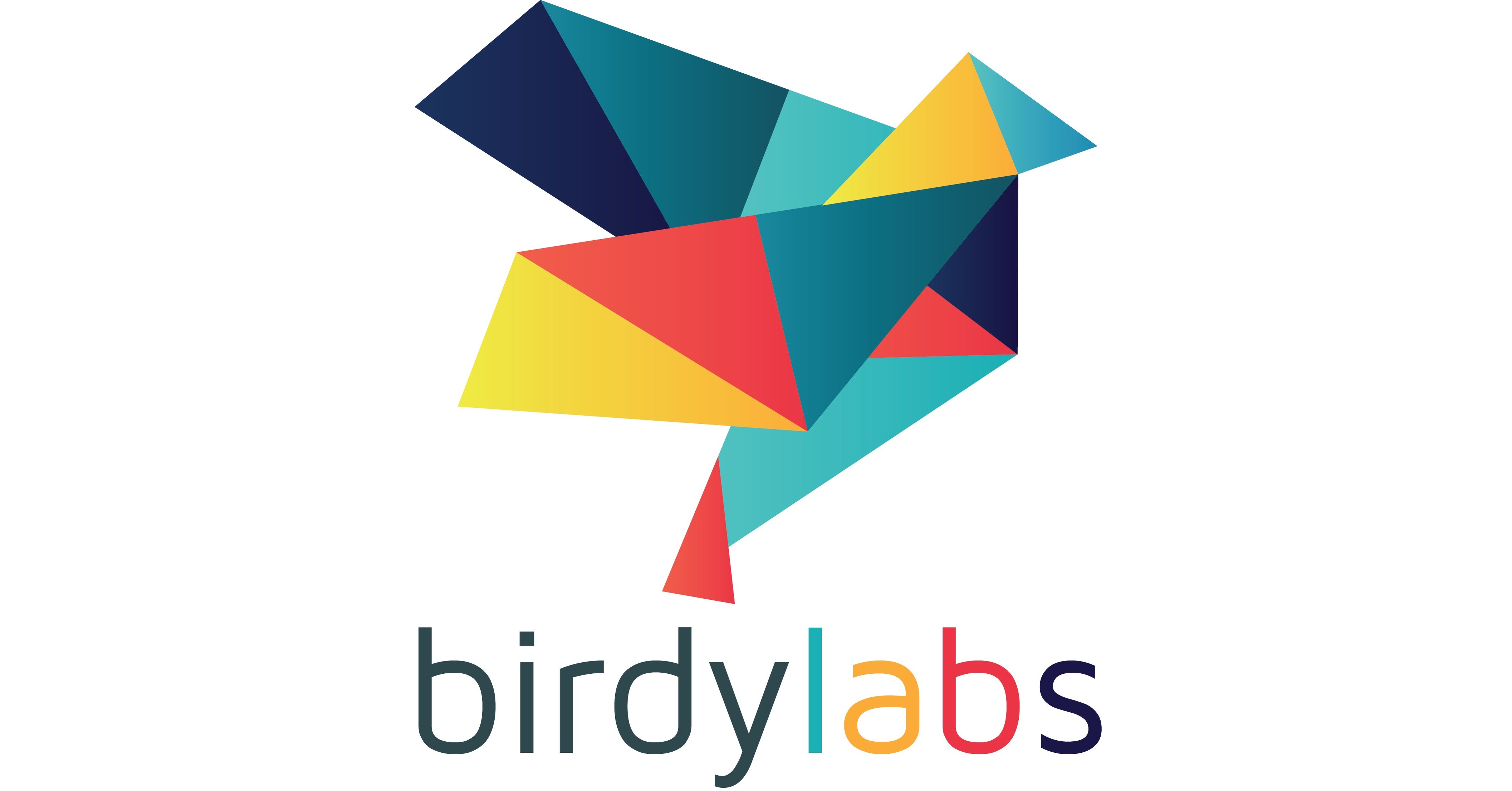 The fintech company, Birdylabs, closes its first round of funding from ...