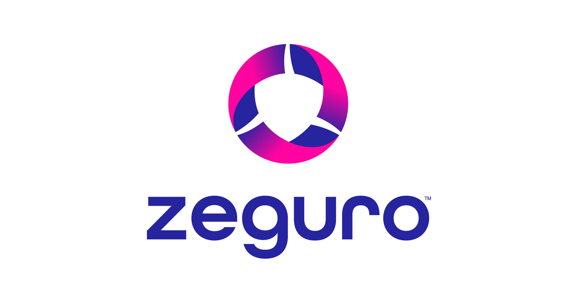 Zeguro Raises $5 Million Seed Investment to Bring Cyber Safety to Small ...