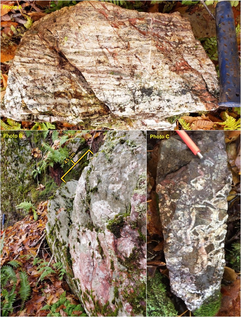 Large Epithermal Quartz Veins Found in Outcrop at Shot Rock, Nova ...