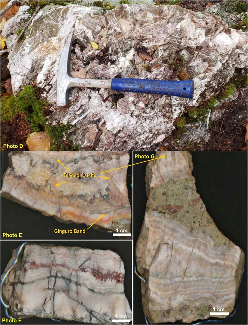 Large Epithermal Quartz Veins Found in Outcrop at Shot Rock, Nova ...