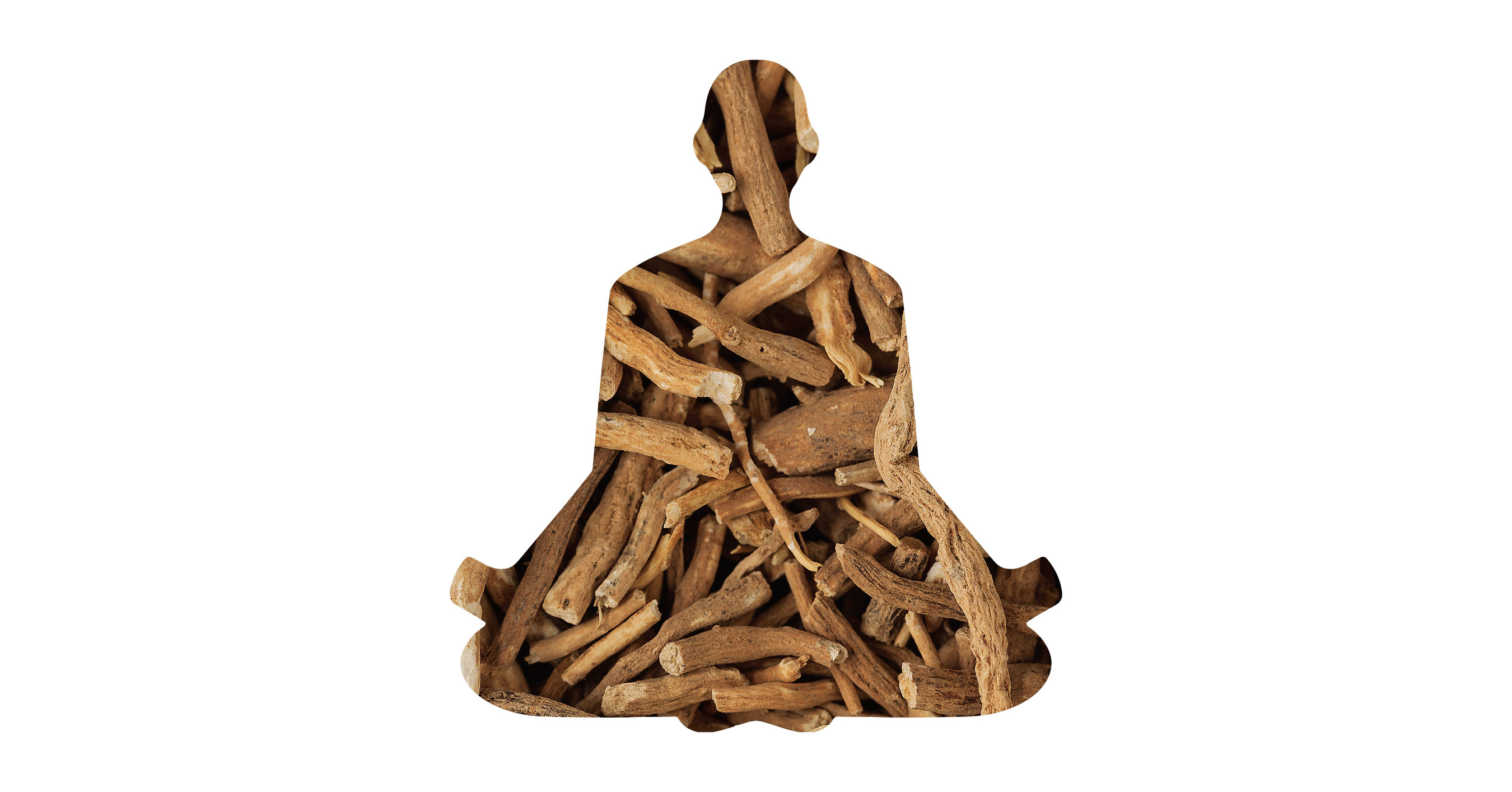 Arjuna Natural Presents New Delivery Form of Ashwagandha Ensuring ...