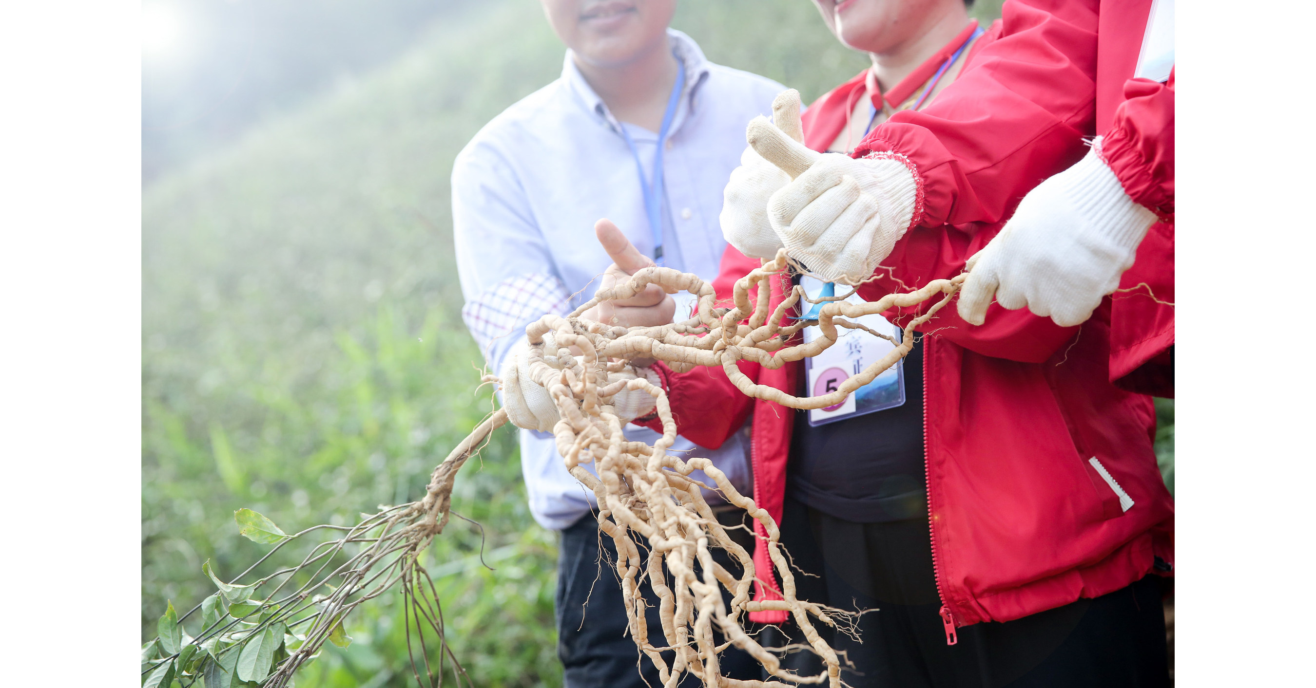 Infinitus Tracing Source Trip 2018 Launched in Yunan