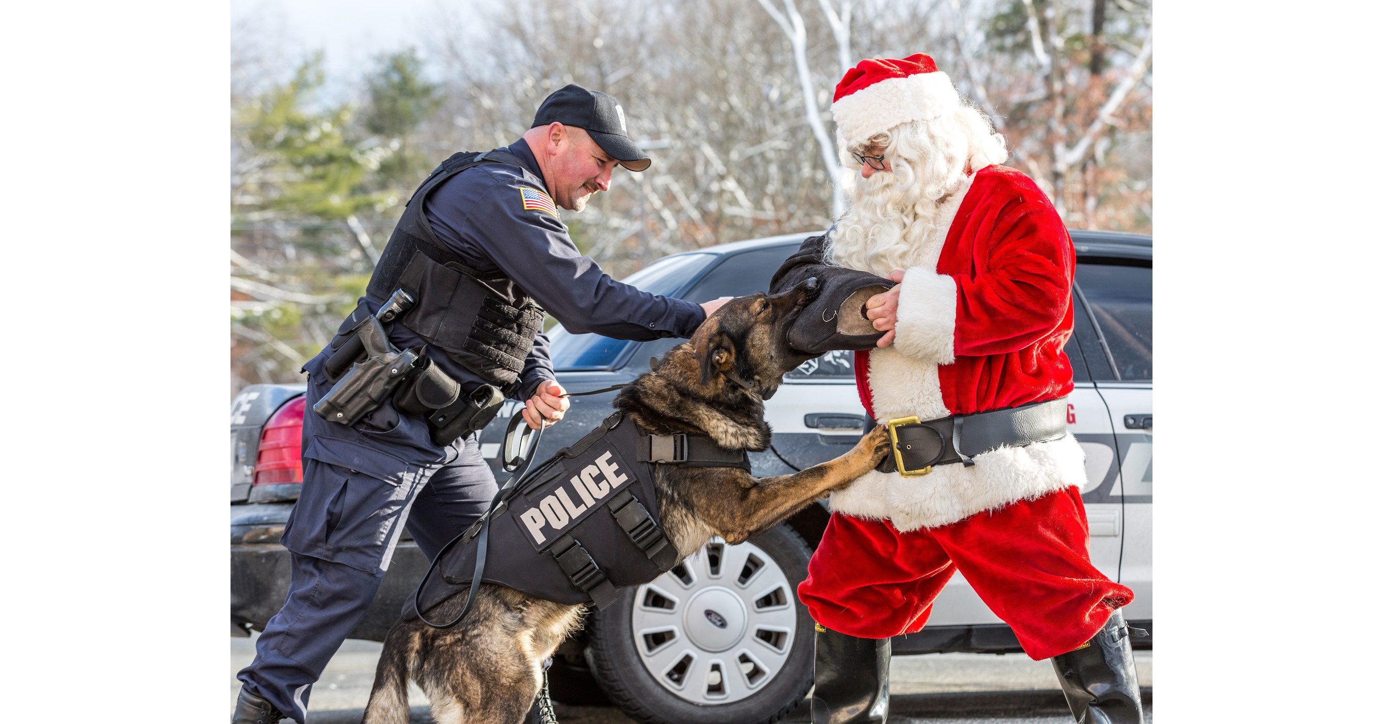 Vested Interest in K9s Partners with Groupon in Nationwide Campaign to ...