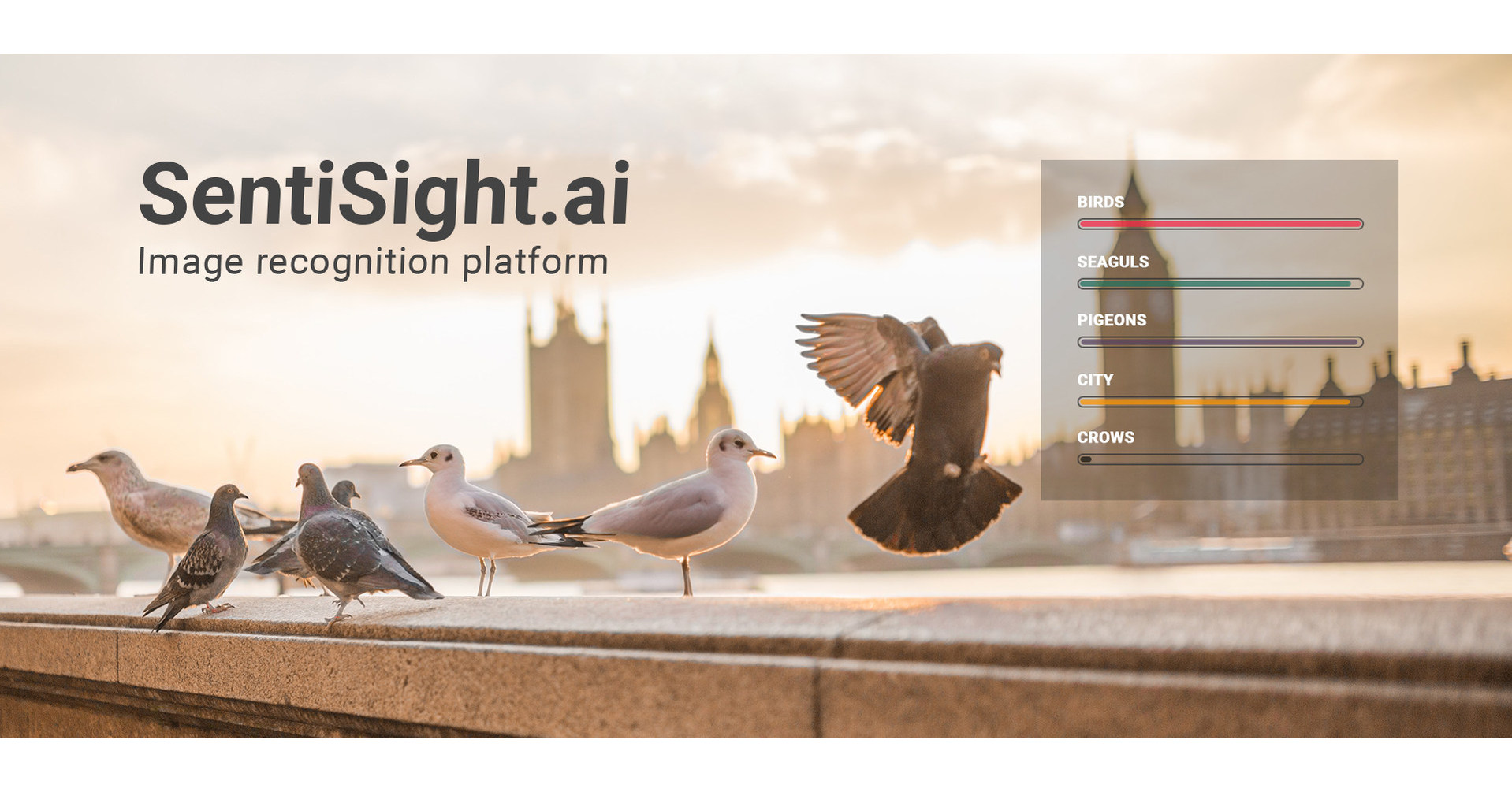 Neurotechnology Launches SentiSight.ai, a New Platform that Enables ...