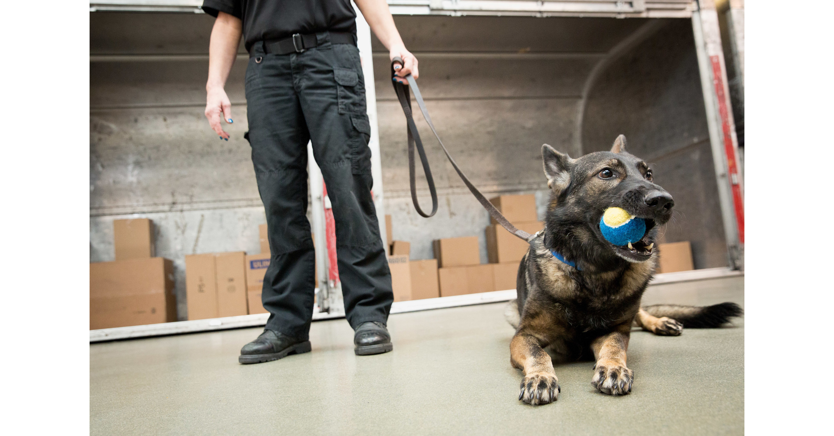 MSA Security® Passes Testing for TSA Third-Party Canine Program