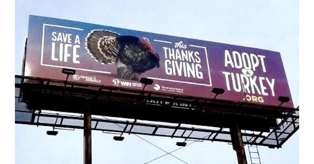 Peace 4 Animals Promotes a Plant-Based Diet & Supports Farm Sanctuary ...