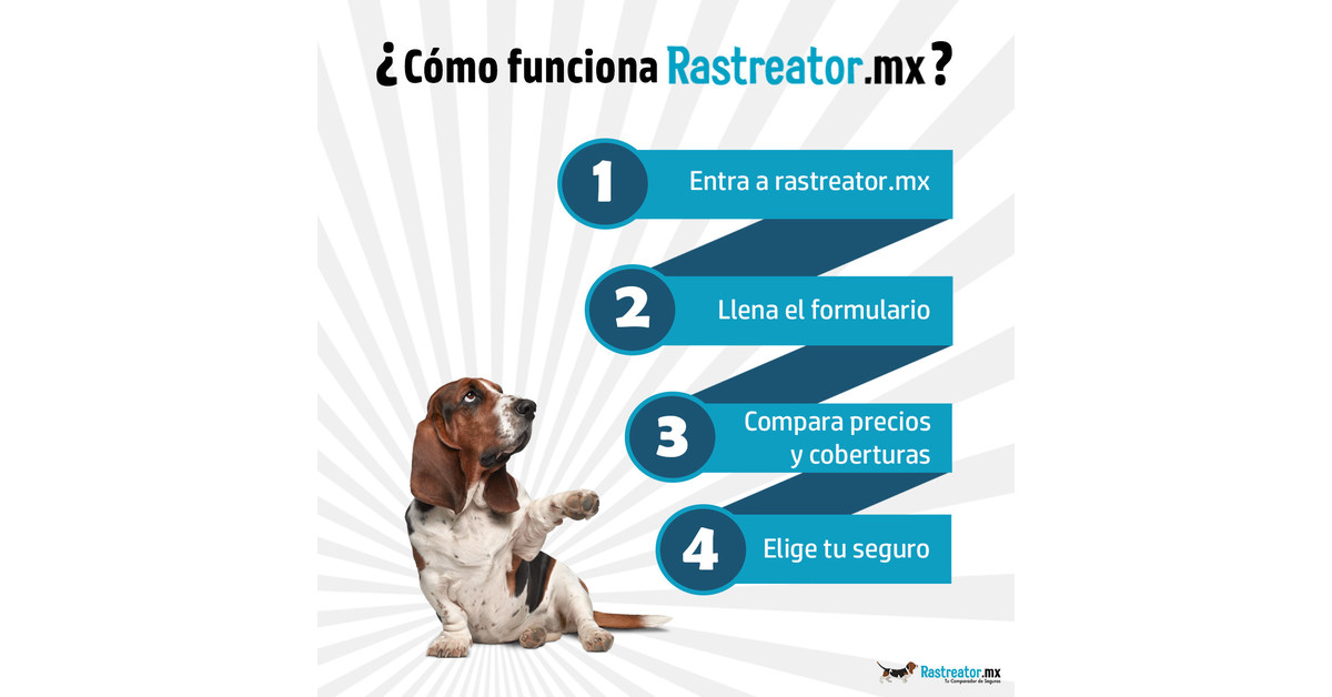 Rastreator, primer comparador de seguros de auto online con ...