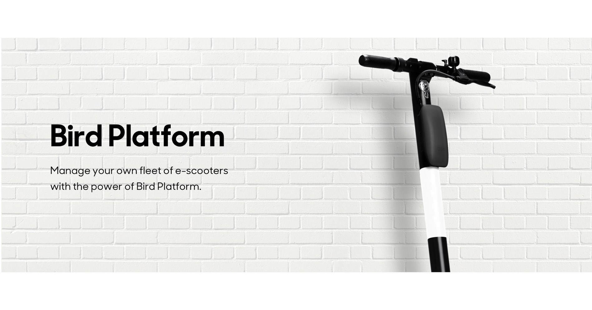 Bird Unveils "Bird Platform" for Independent Operators