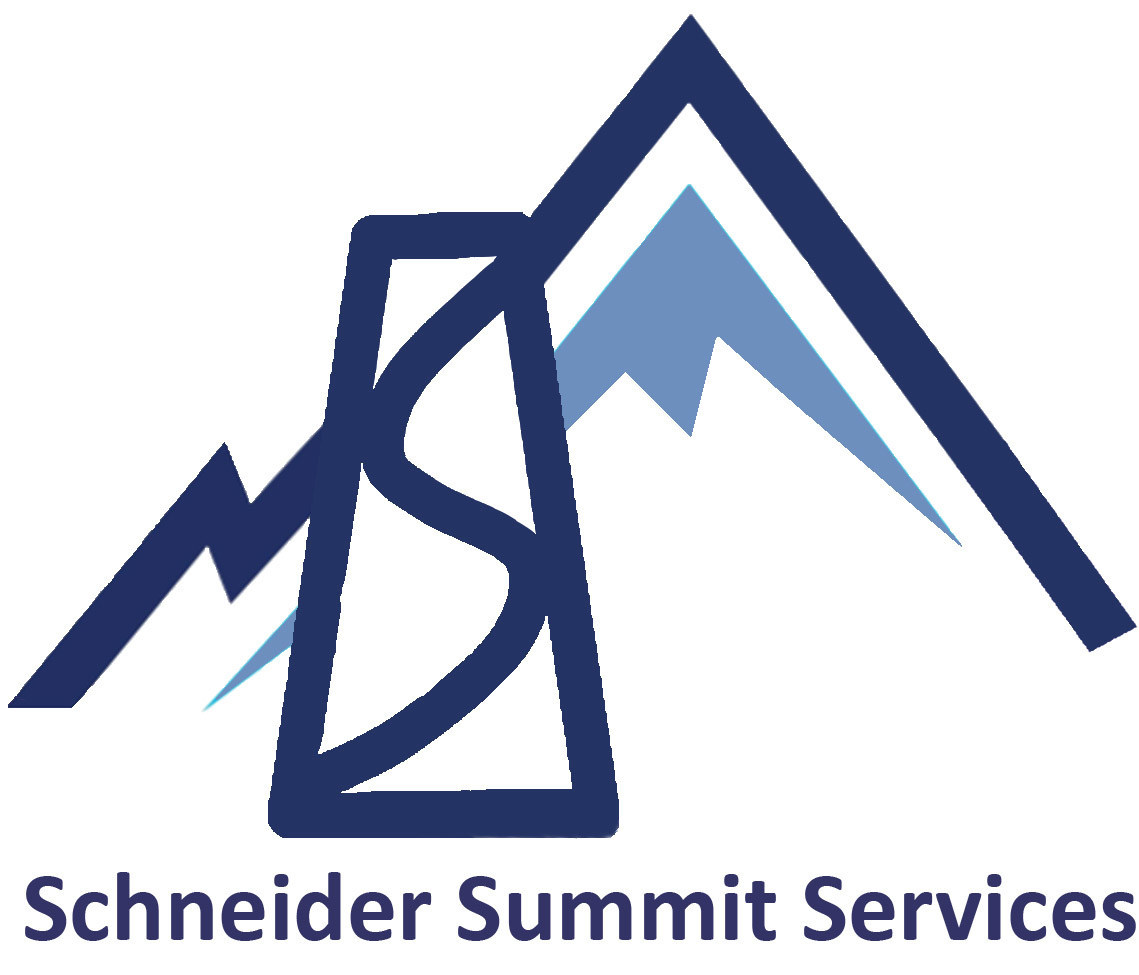 Summit Energy Services Announces Merger with Schneider Energy Consulting