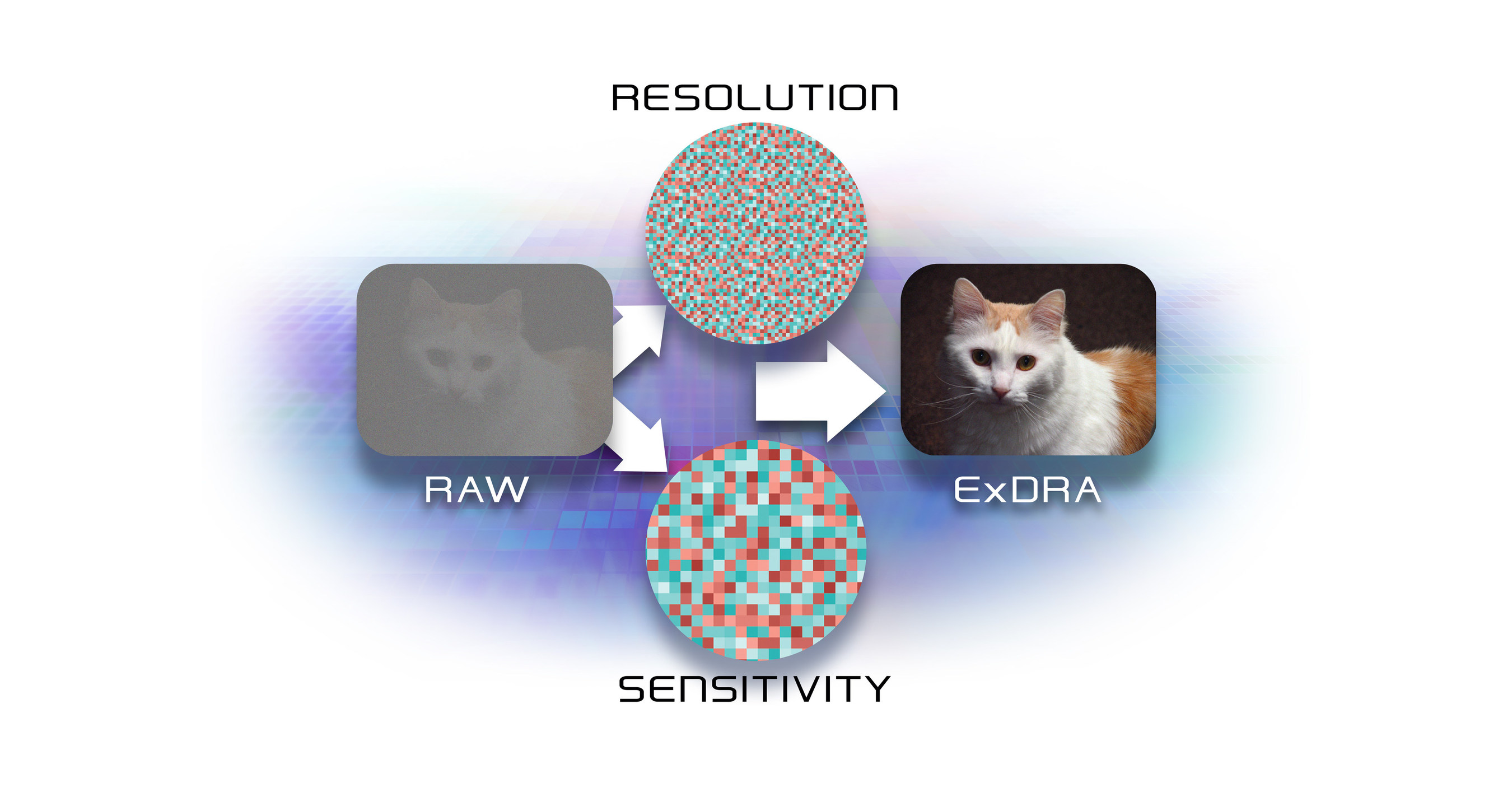 Pixon's ExDRA™ Enables Cell Phone Cameras to "See in the Dark"