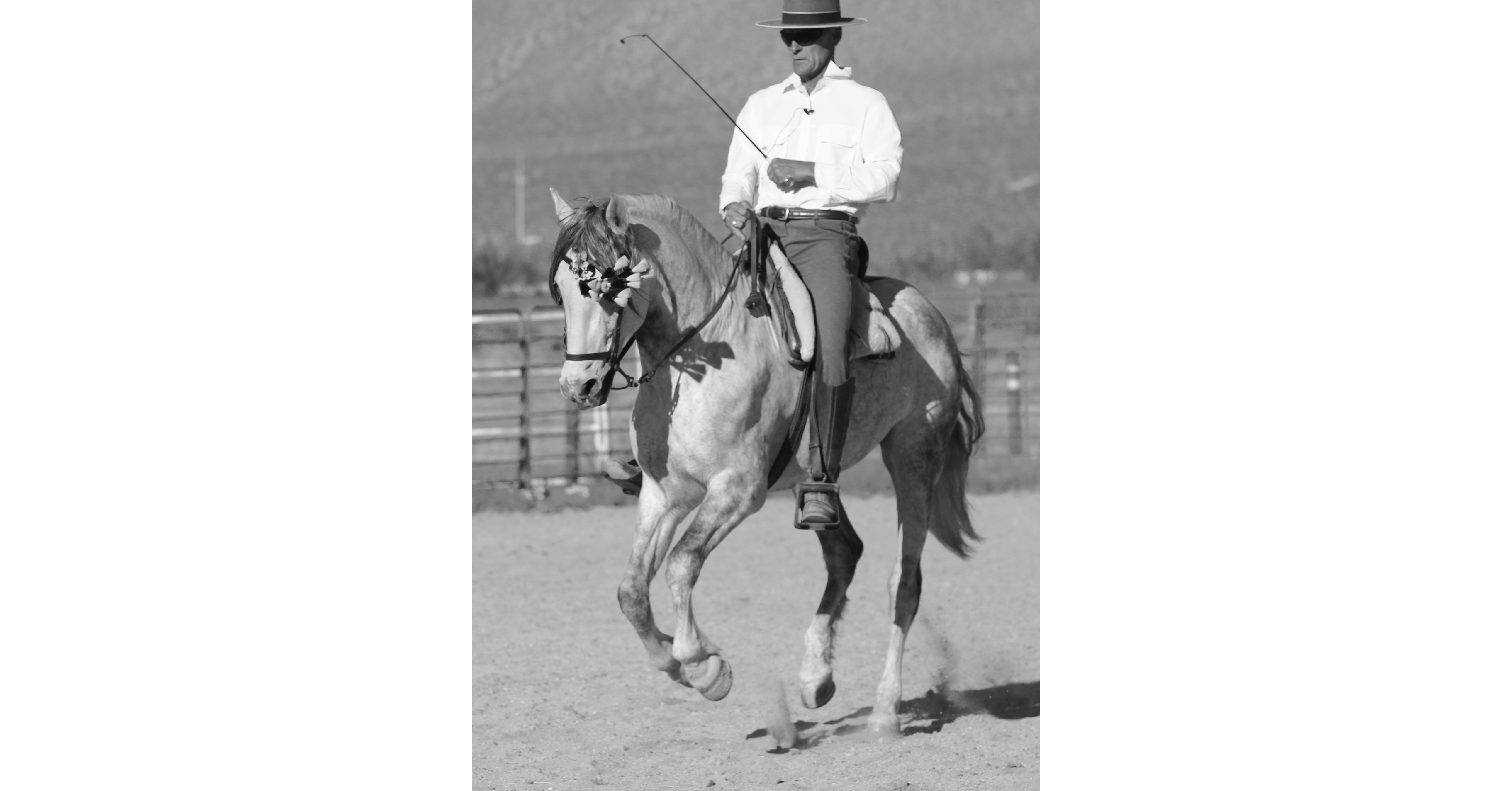 John Saint Ryan Releases New Book "A Voice for the Horse," with ...