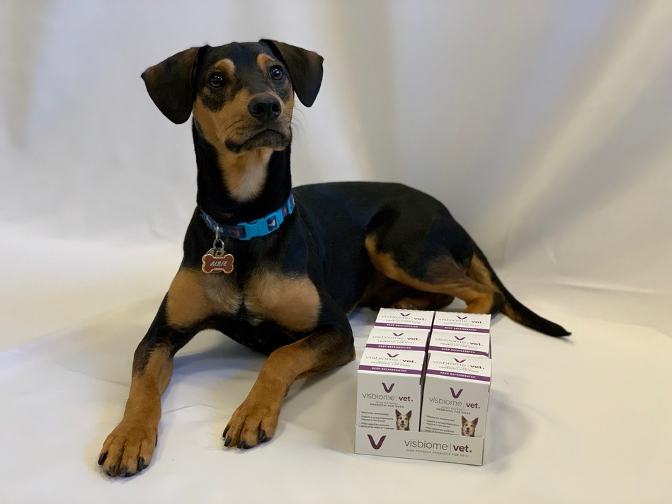 Trans-Atlantic study finds promising results with Visbiome Vet, a high ...