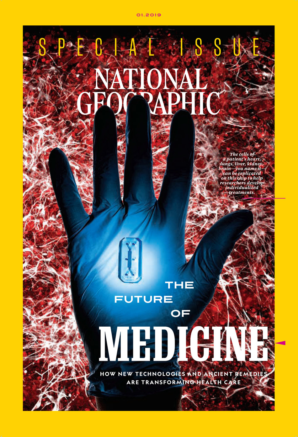 Sixteen Years in the Making, National Geographic Unveils a Behind-the ...