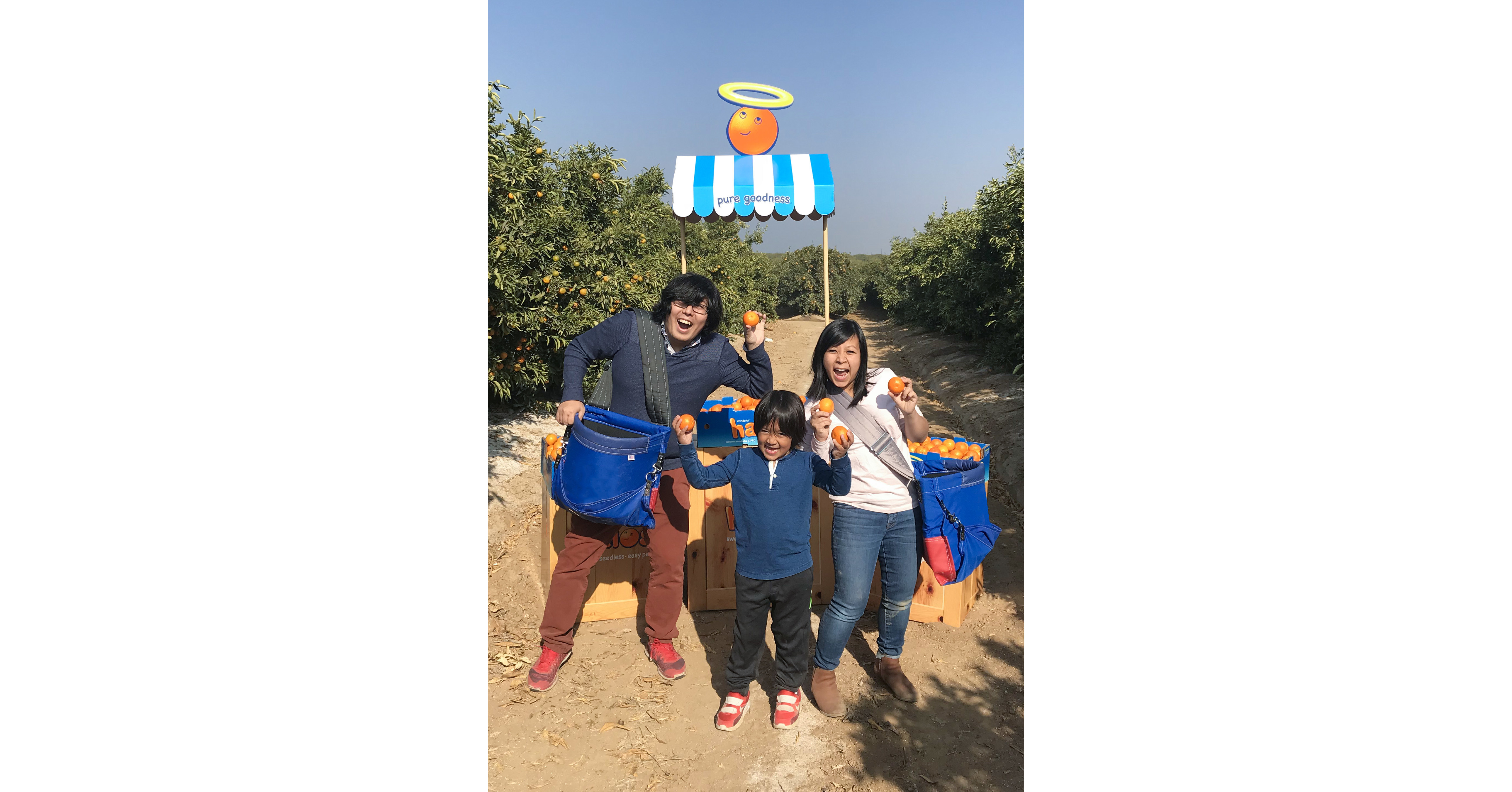 Wonderful Halos Partners With World's No. 1 Kid YouTube Star Ryan ...