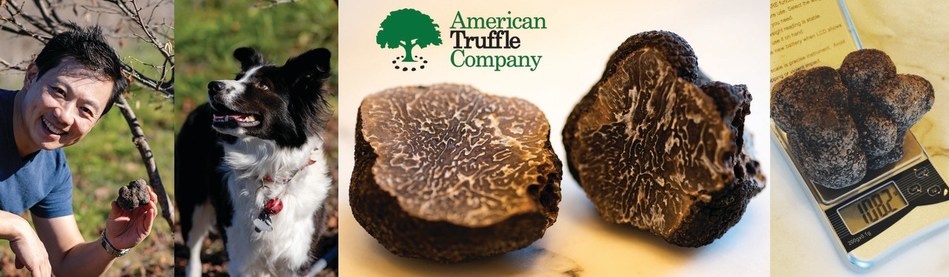Eureka! First Scientifically Cultivated Truffle Harvest in America
