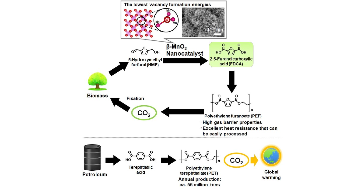 Green catalysts with Earth-abundant metals accelerate production of bio ...