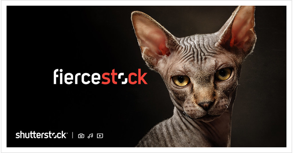It's not Stock, it's Shutterstock™; New Ad Campaign Aims to Inspire the ...