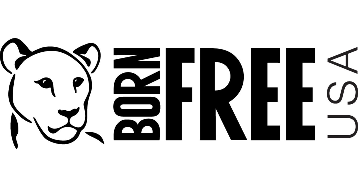 International Animal Advocate Named Director of Born Free USA's Primate ...