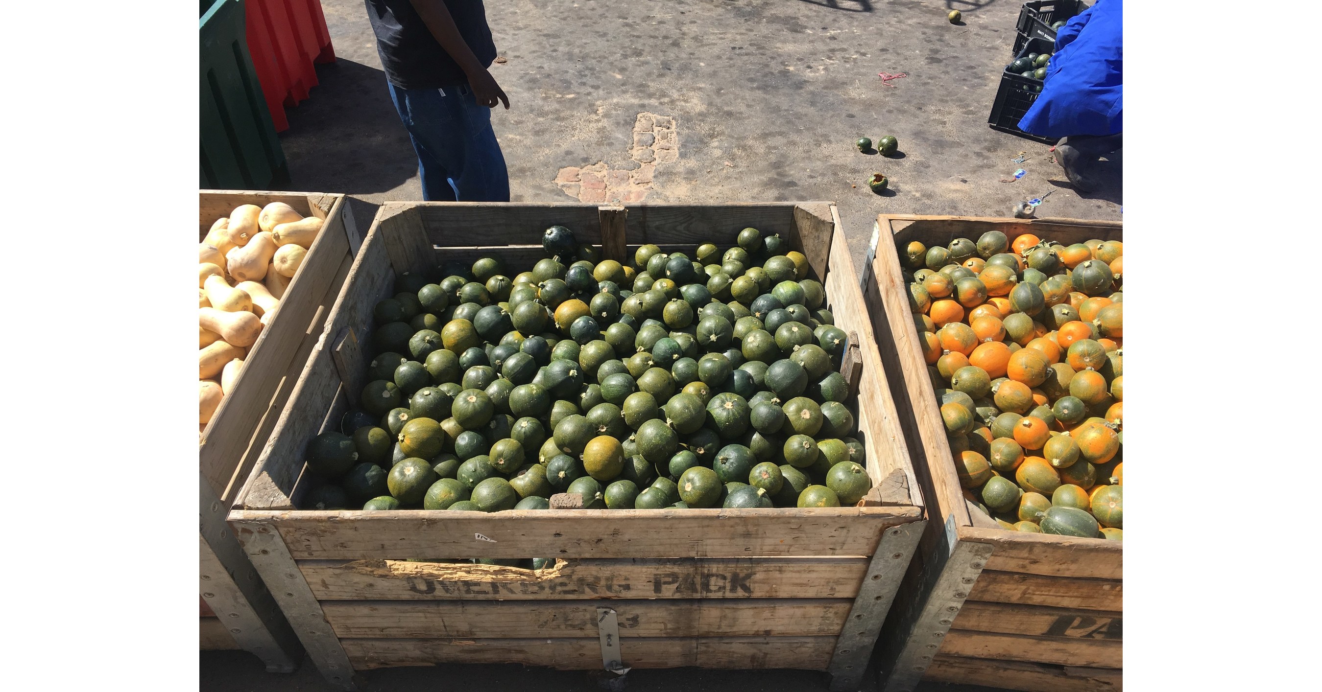 PepsiCo And The Global FoodBanking Network Partnership Delivers More ...