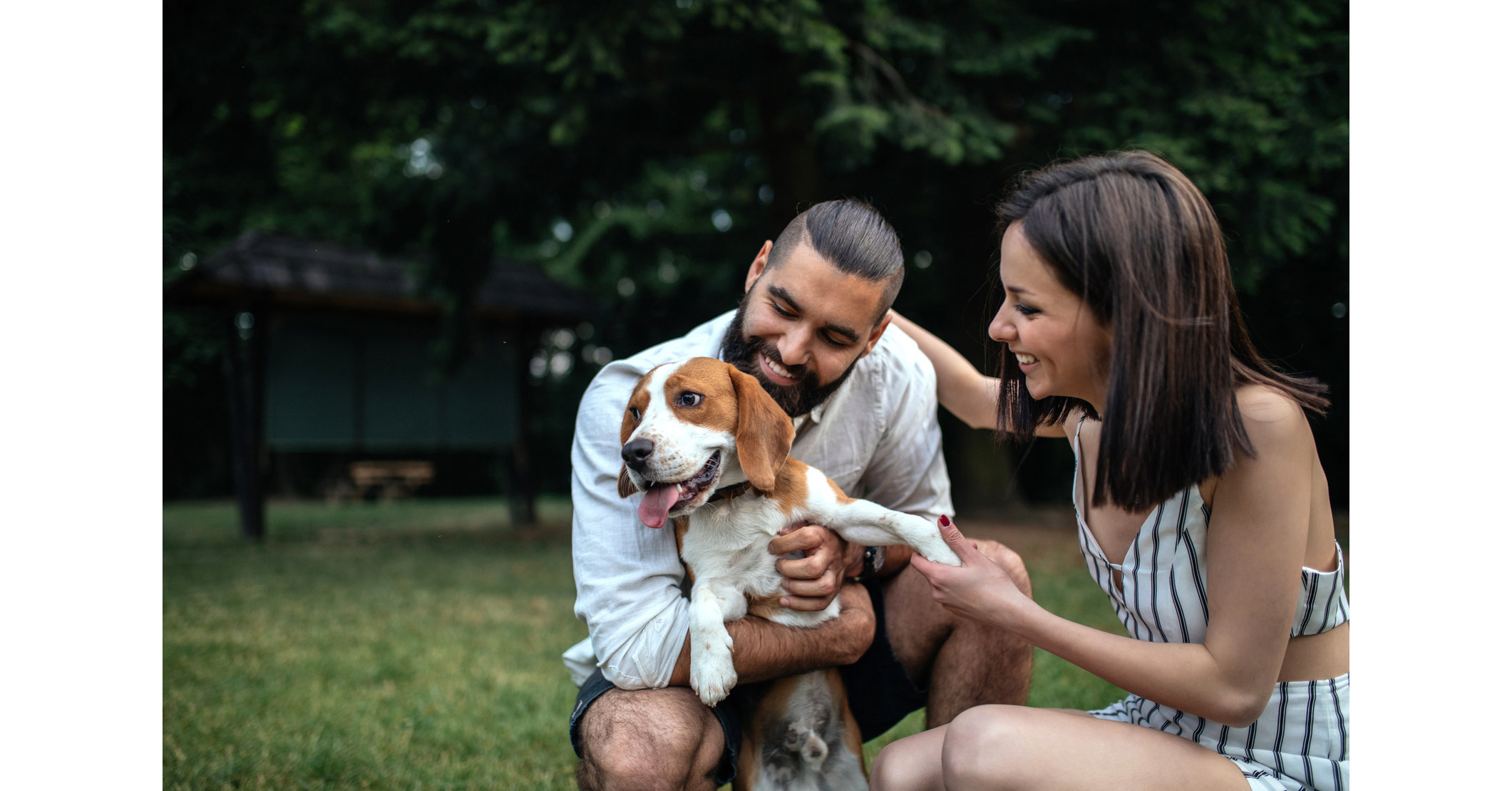 The Healthy Paws Foundation Shares Good Deeds from 2018