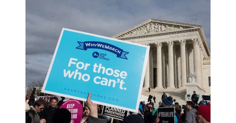 Save the Storks Joins the 2019 March For Life in Washington D.C ...