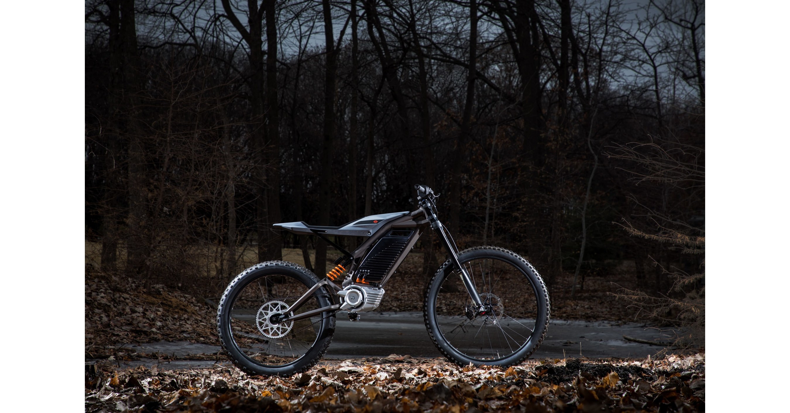 Harley-Davidson Showcases Two Groundbreaking Lightweight Electric ...