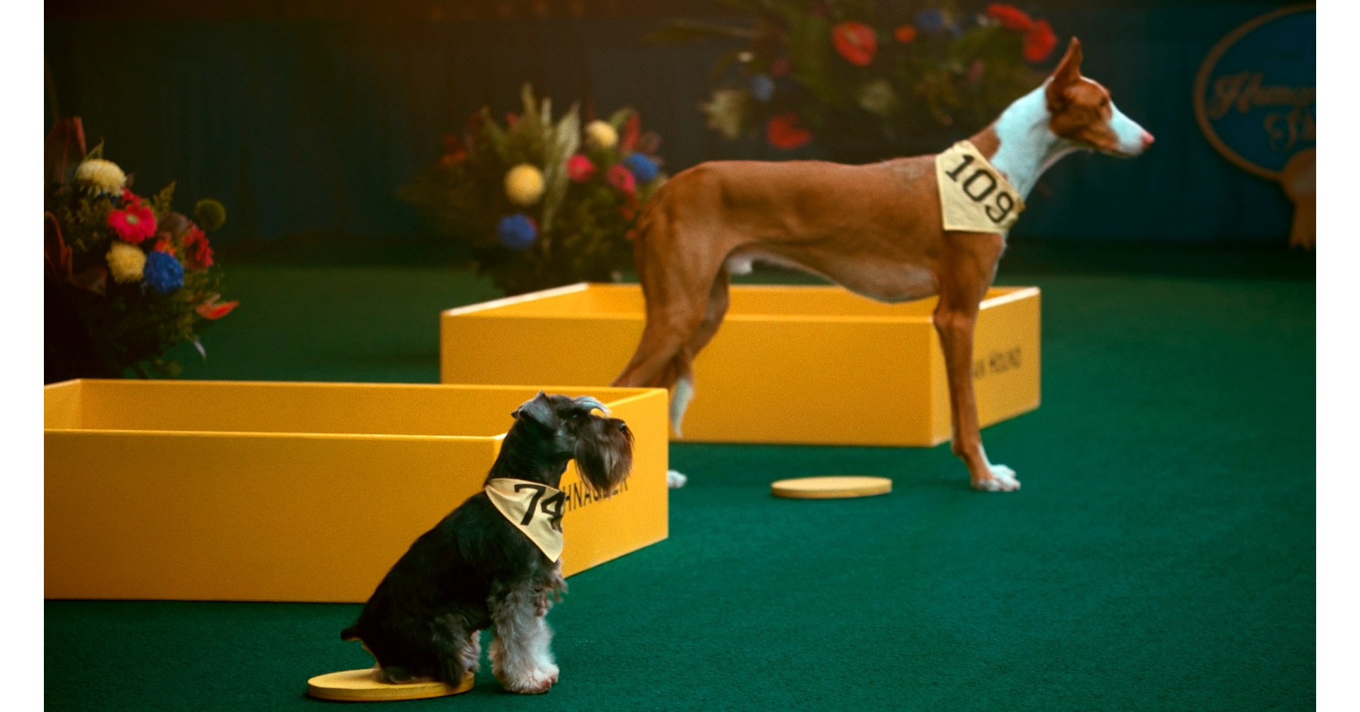 Avocados From Mexico Shows How Far People Will Go For Avocados In New ...