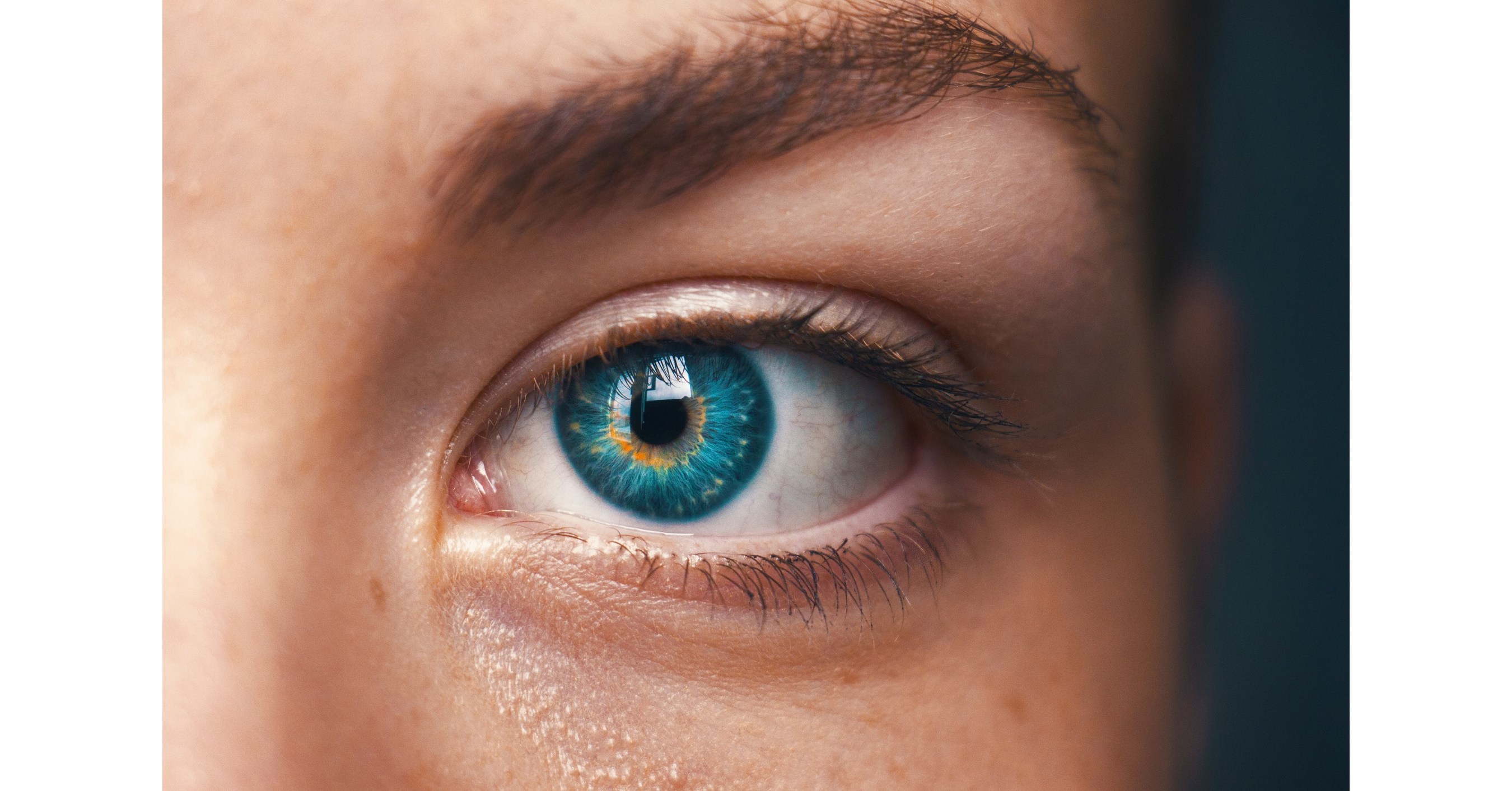Clinical Trials Planned for Iris-Recognition-Based Patient ...