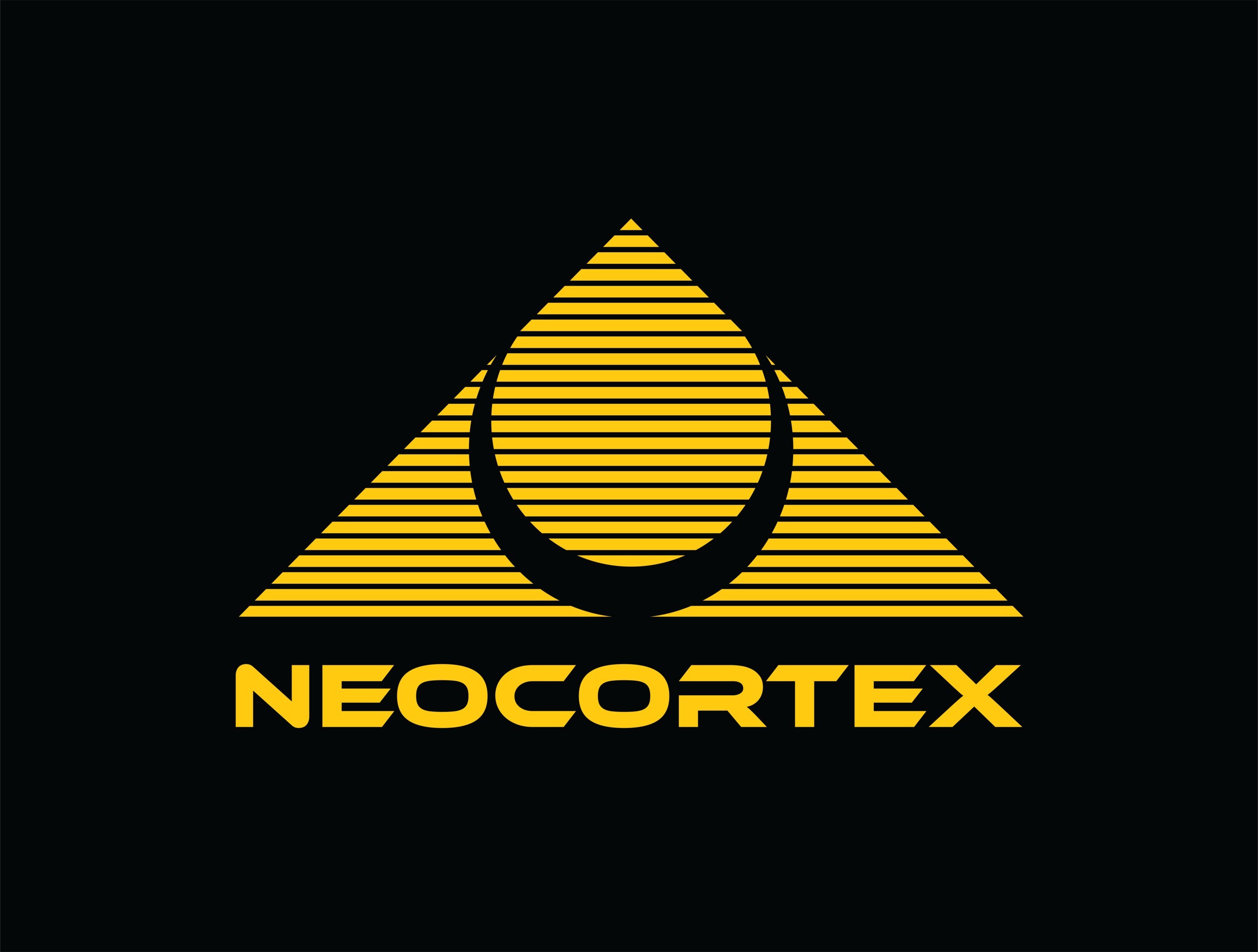 Find Out Why Neocortex is Working with 50% of the Top Ten U.S. Retailers