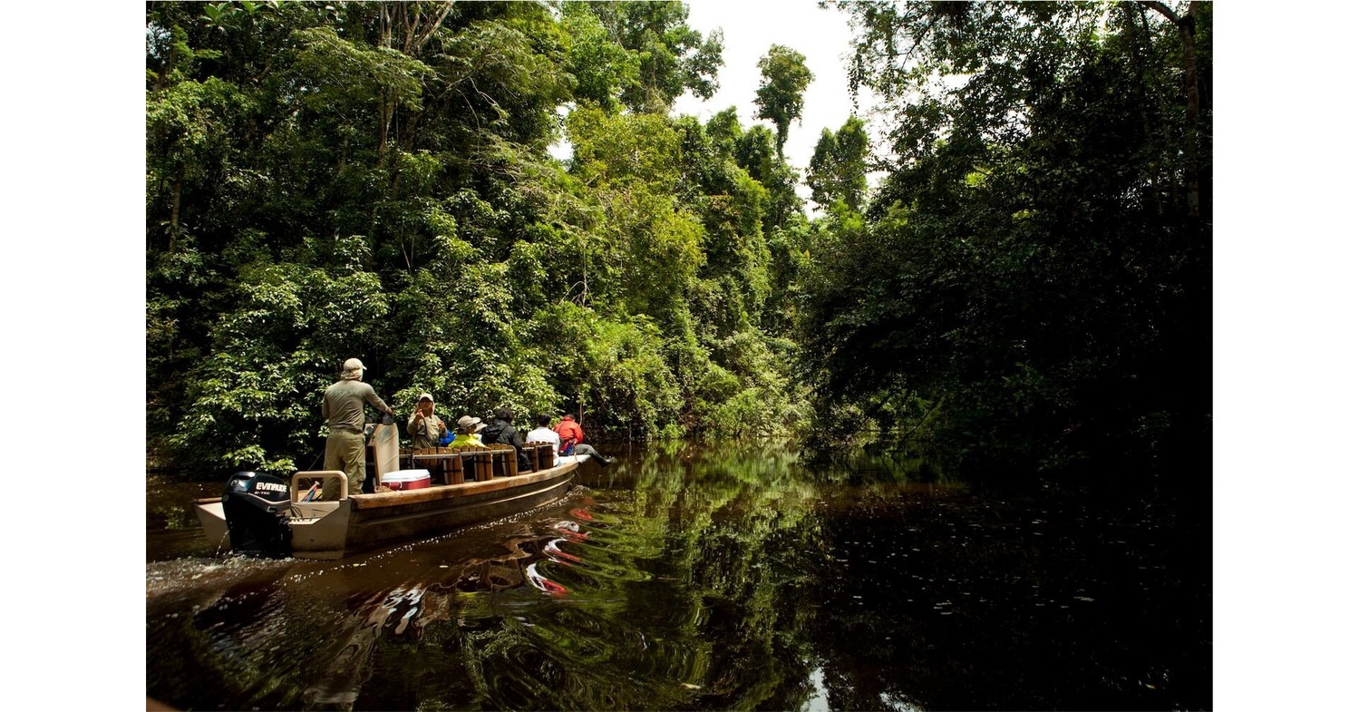 Escape the Polar Vortex by Visiting the Amazon Rainforest with ...