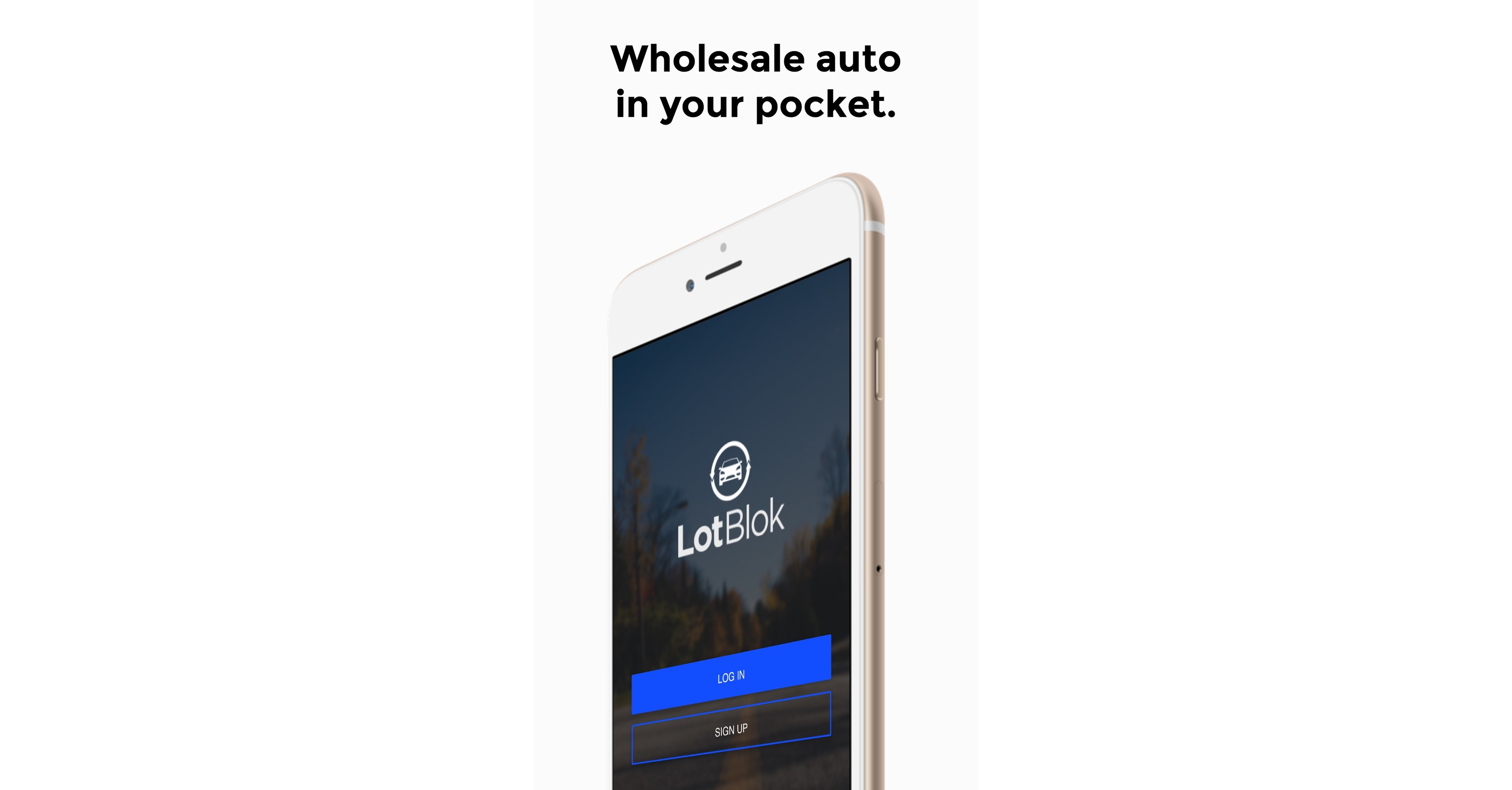 LotBlok Developing Blockchain Based Auto Liquidation App
