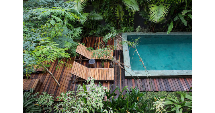 A Jungle Oasis in Brazil with Rainforest Cruises: Free Hotel Night and ...