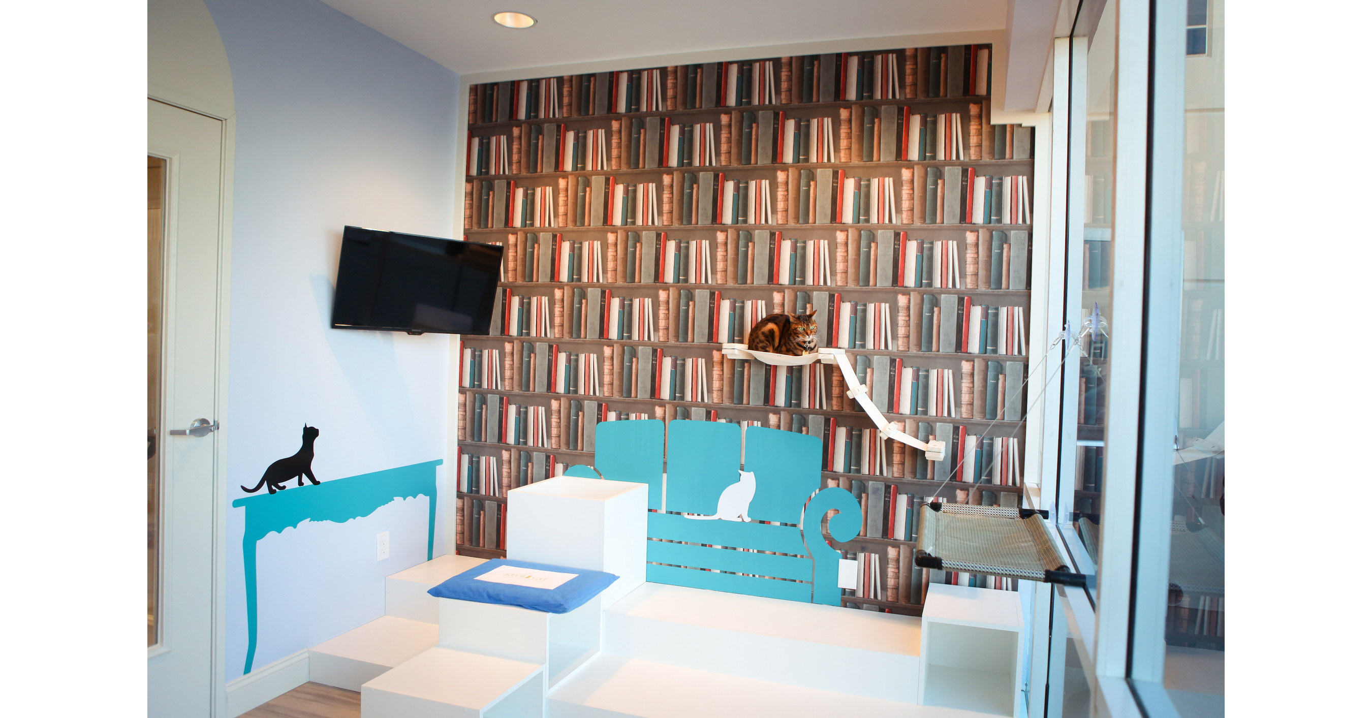 Orange County's First Luxury Cat Hotel, Club Cat, Celebrates its Grand ...