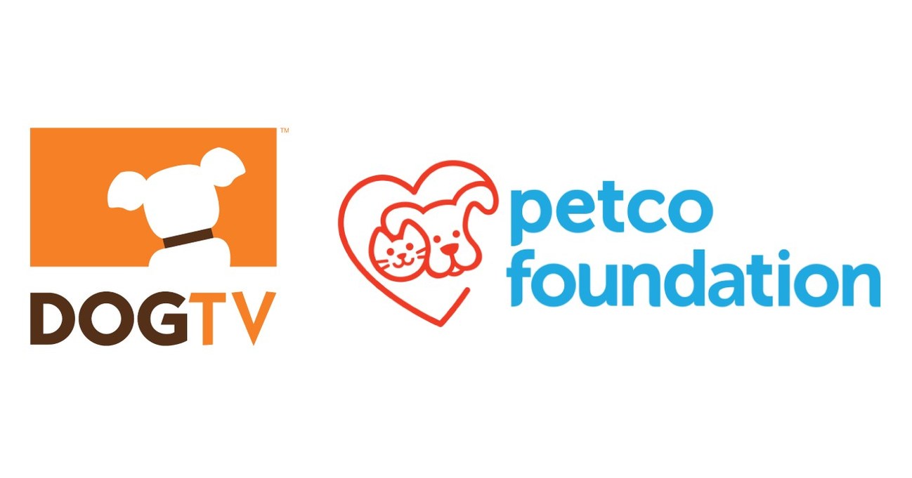 DOGTV is vying for Finalist Spot in the 2019 Innovation Showdown