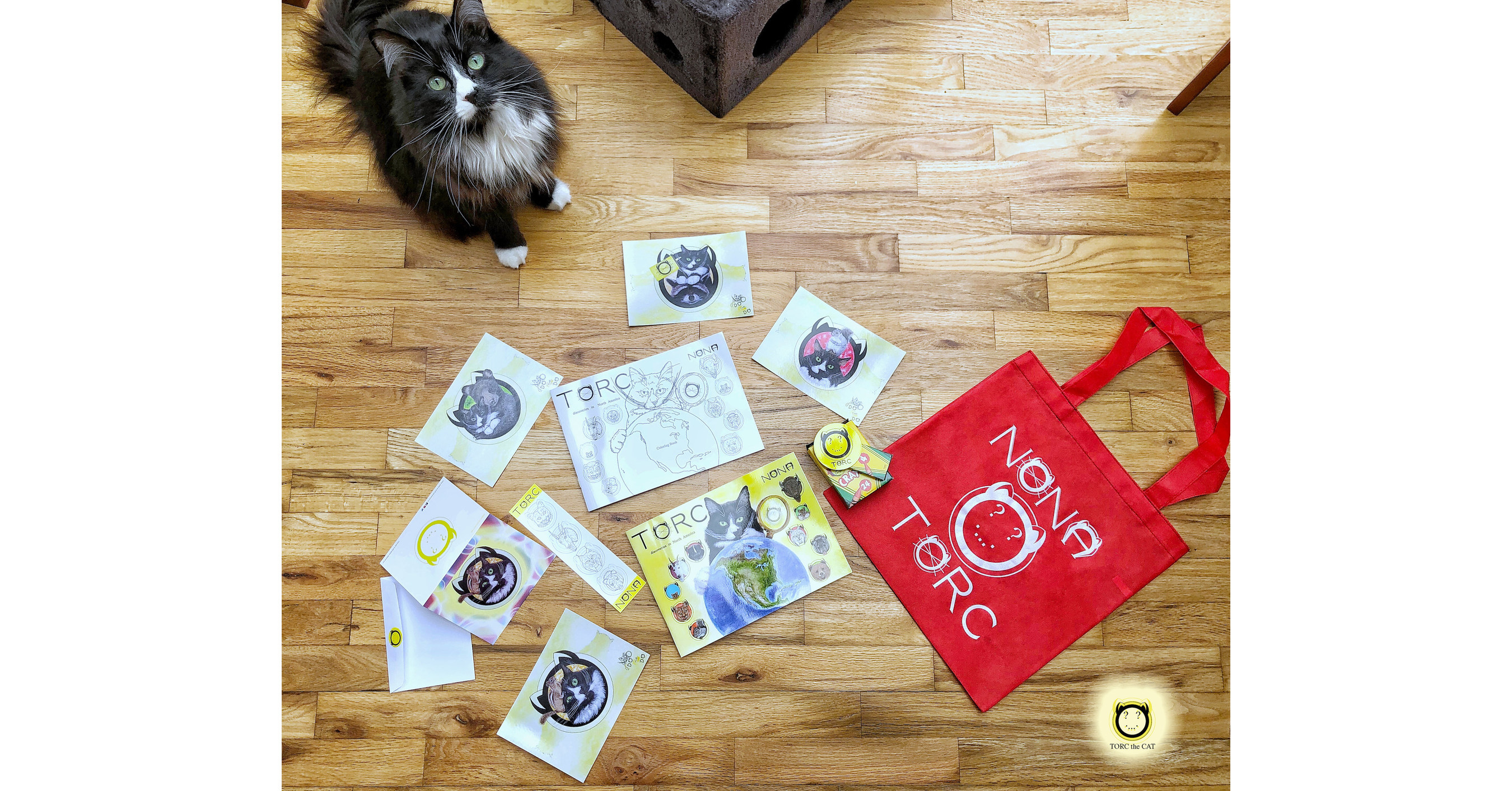 Author and Illustrator Nona Publishes First in Planned Series of ...