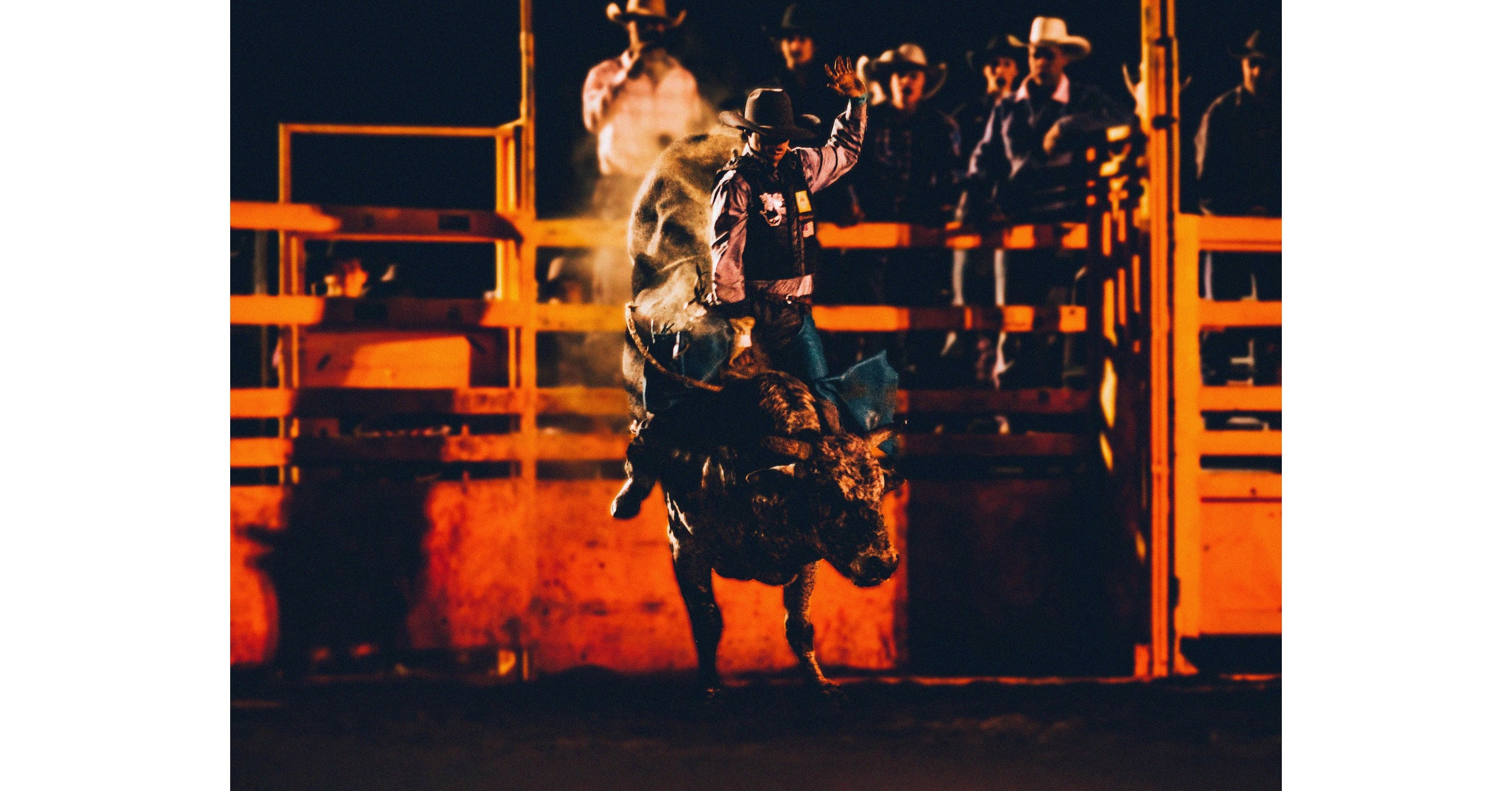 New Custom Horse Arena and Rodeo Lighting Solutions