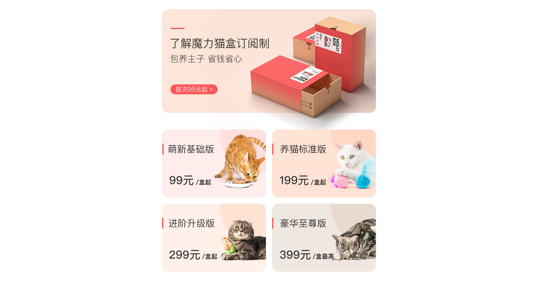 Mollybox Secures $13 million In Series B Funding to Support Expansion ...