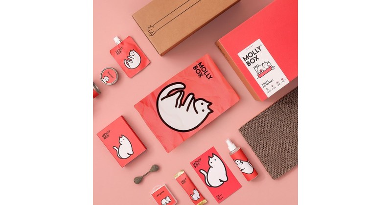 Mollybox Secures $13 million In Series B Funding to Support Expansion ...