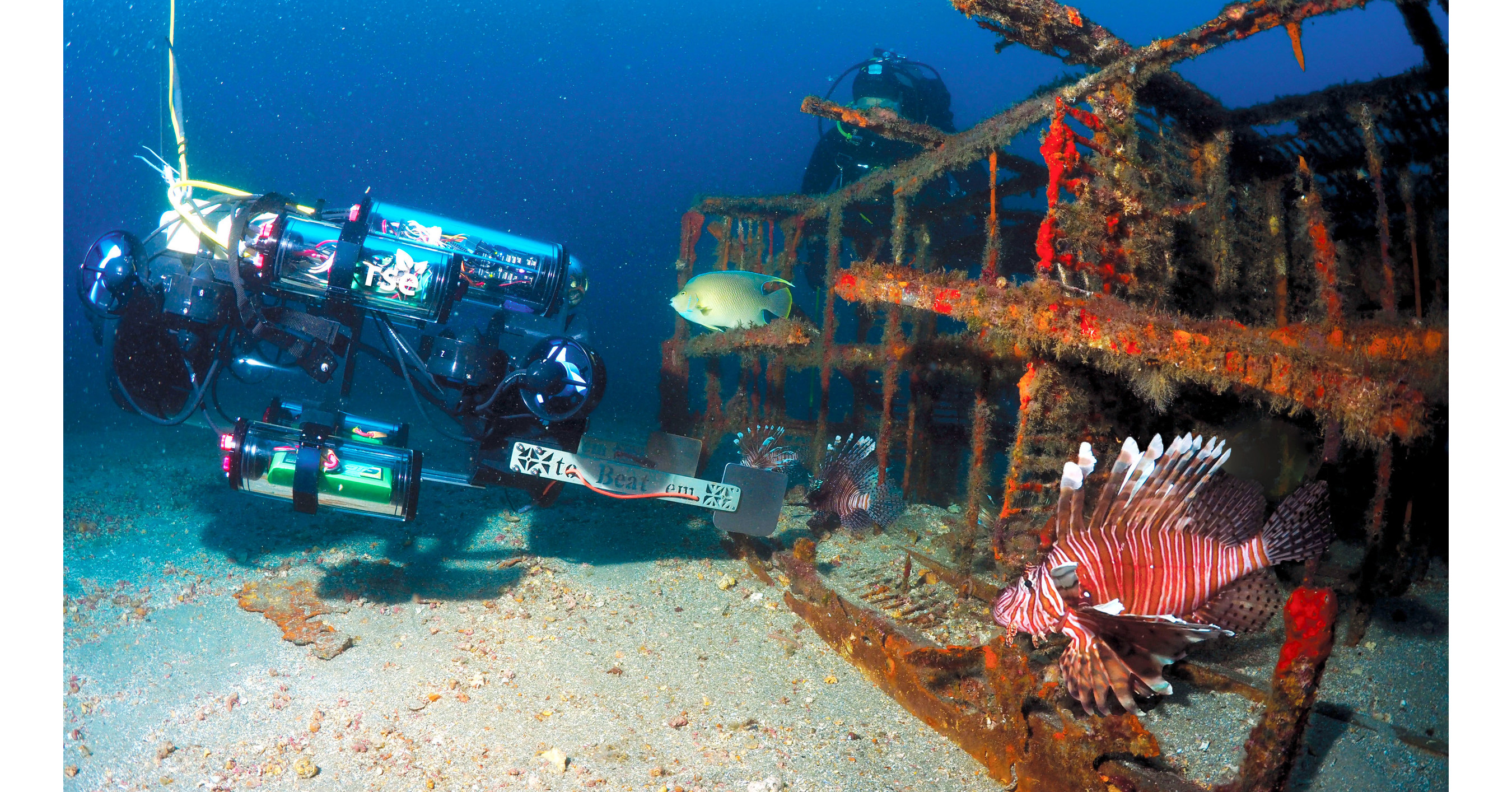 RSE Accelerates Invasive Lionfish Capture at Critical Action Breeding ...