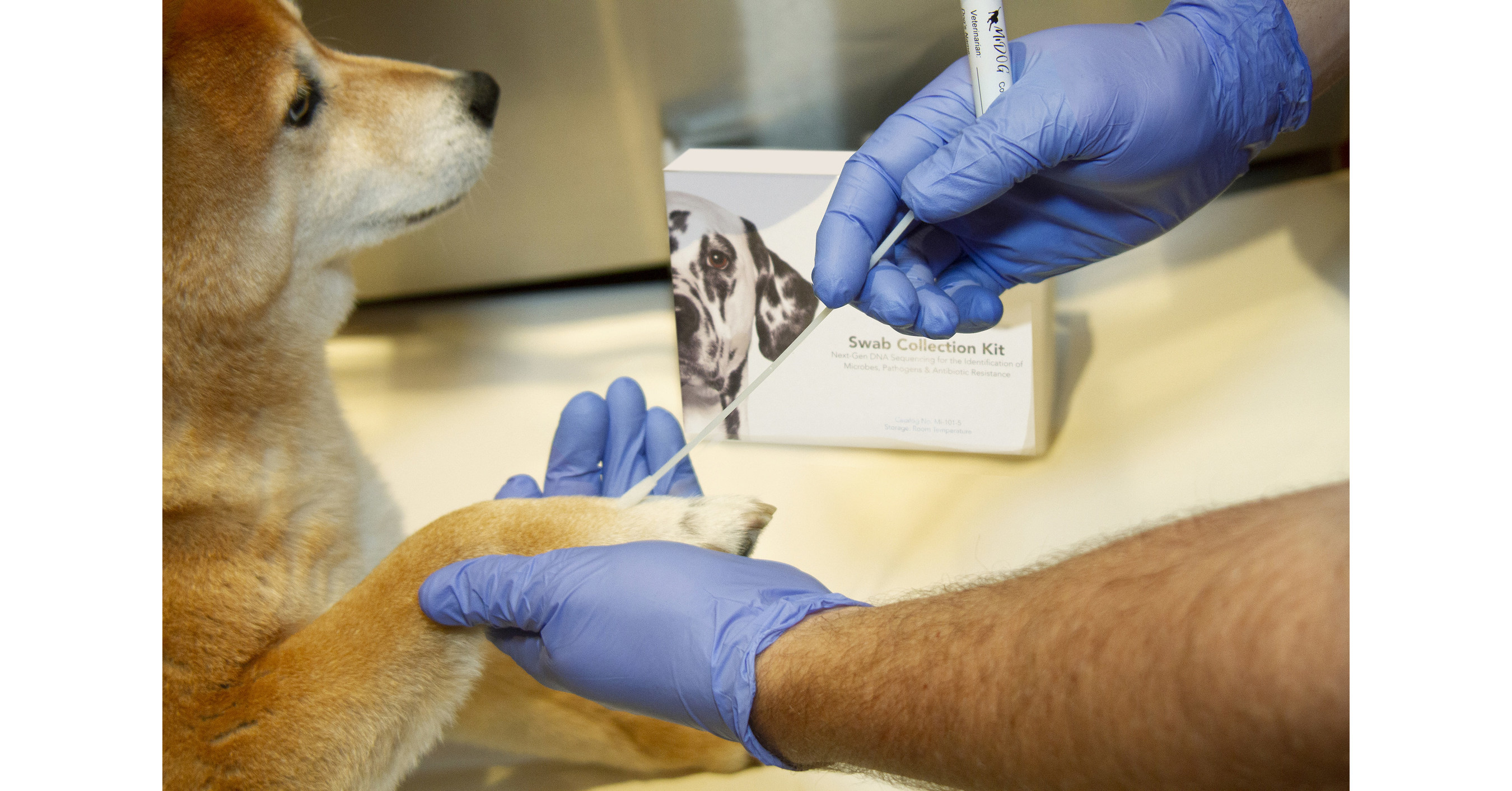 MiDOG® Launches Canine All-in-One Microbial Test for Identification of ...
