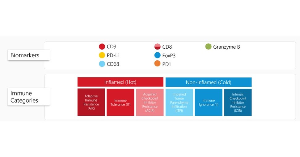 Definiens Launches Immuno-oncology Research Collaboration for AACR 2019 ...