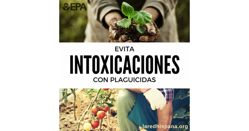 Campaña nacional educa sobre cómo reducir los riesgos por la exposición ...