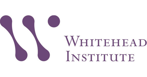 Whitehead Institute's David C. Page to Conclude Term as Director