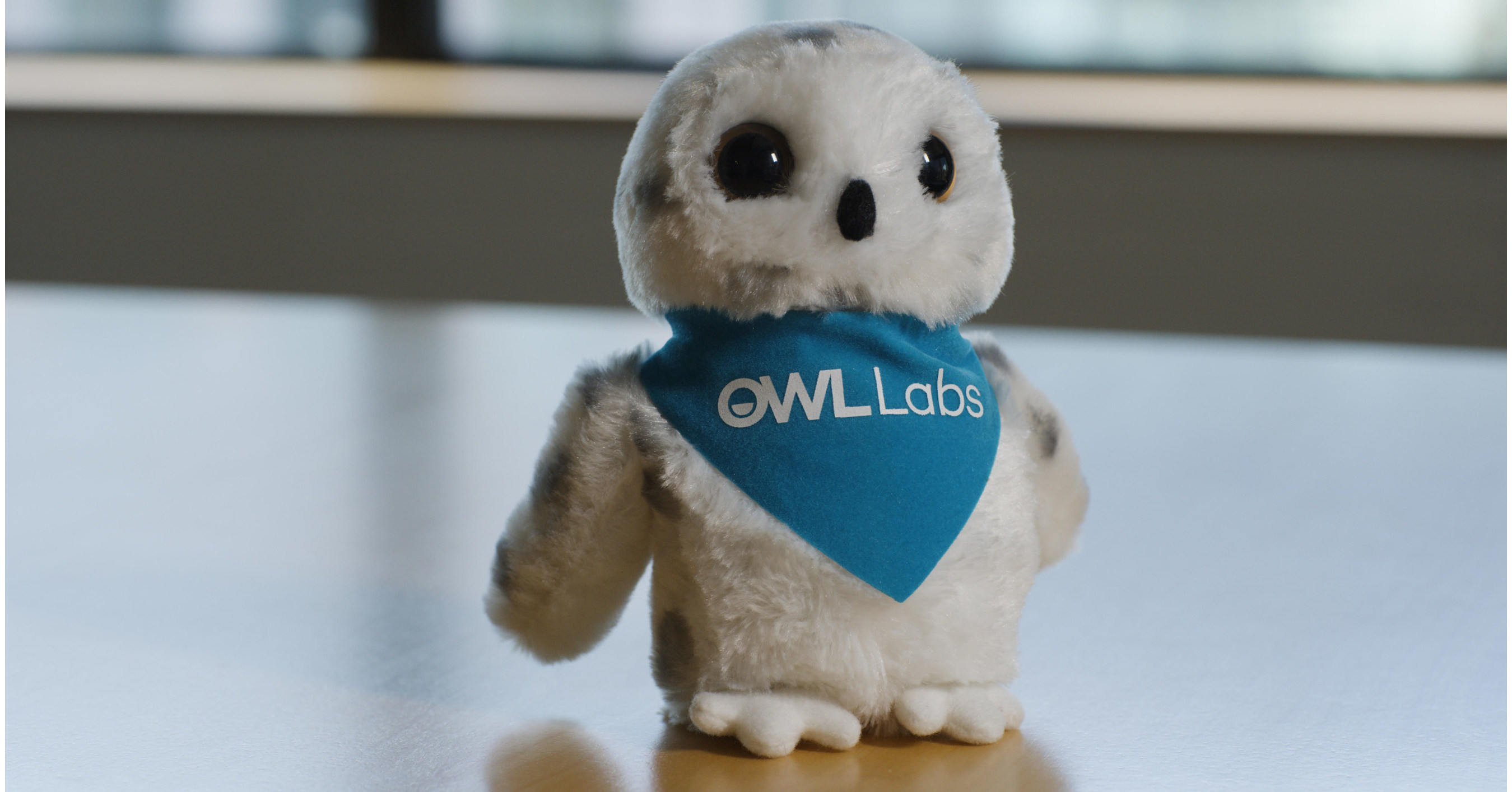 Owl Labs Hatches #MeetingOwlJR Smart Video Conferencing Camera for Kids