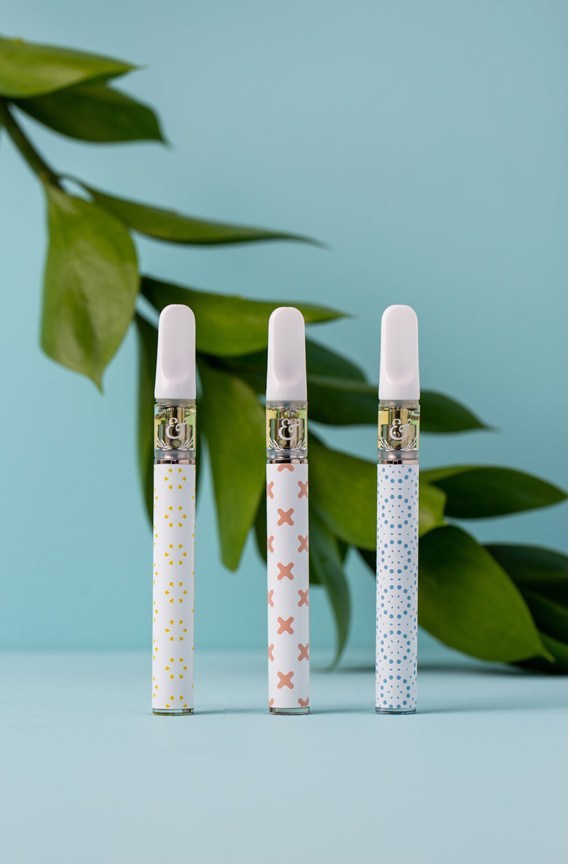 Planet 13 Launches Leaf & Vine, a Premium Brand of Disposable Vape and ...