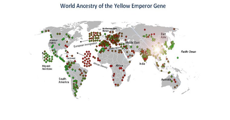 Searching for The Genetic Origin of The World's Largest Population ...
