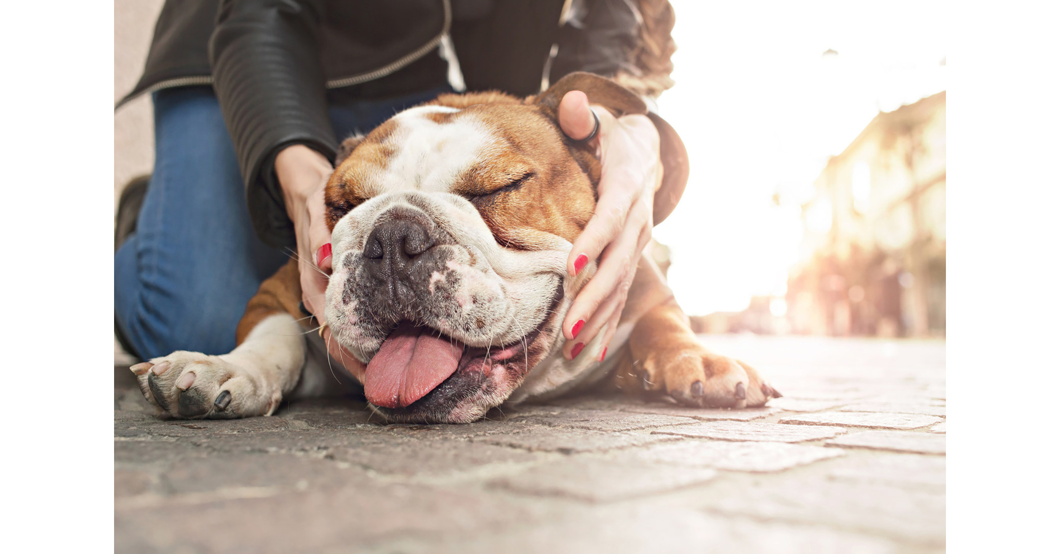 4 Ways Pets Make Humans Better