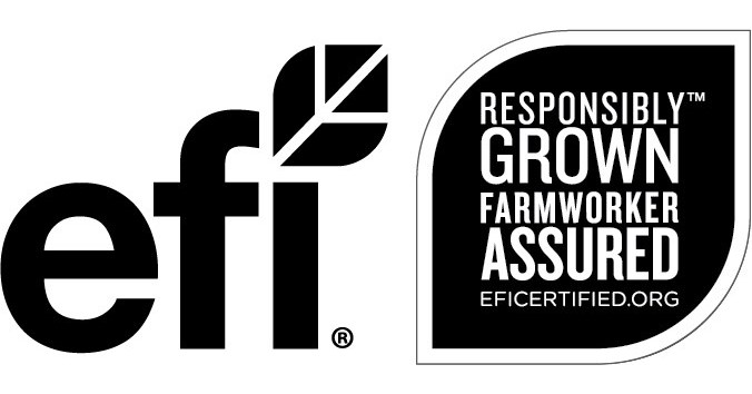 Rebecca Chávez, MPH, Joins Equitable Food Initiative as Business ...