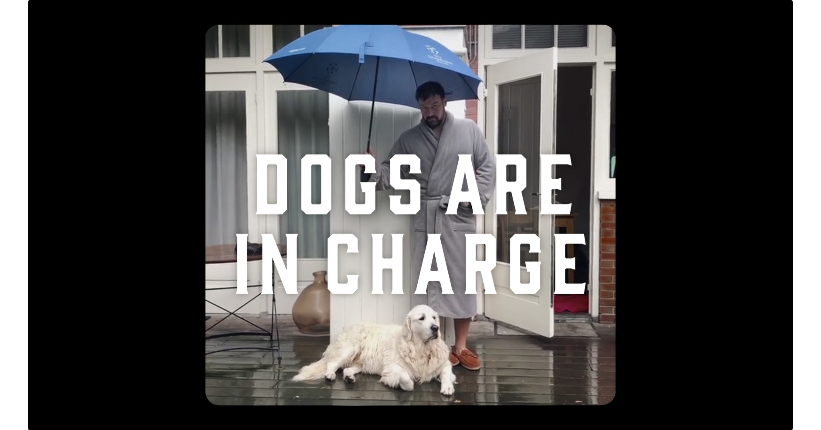 Who Run The World? Dogs. Nearly Seven Out Of 10 U.S. Pet Parents Agree ...